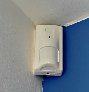What Motion Detector Alarm Should I Have Installed At Home?